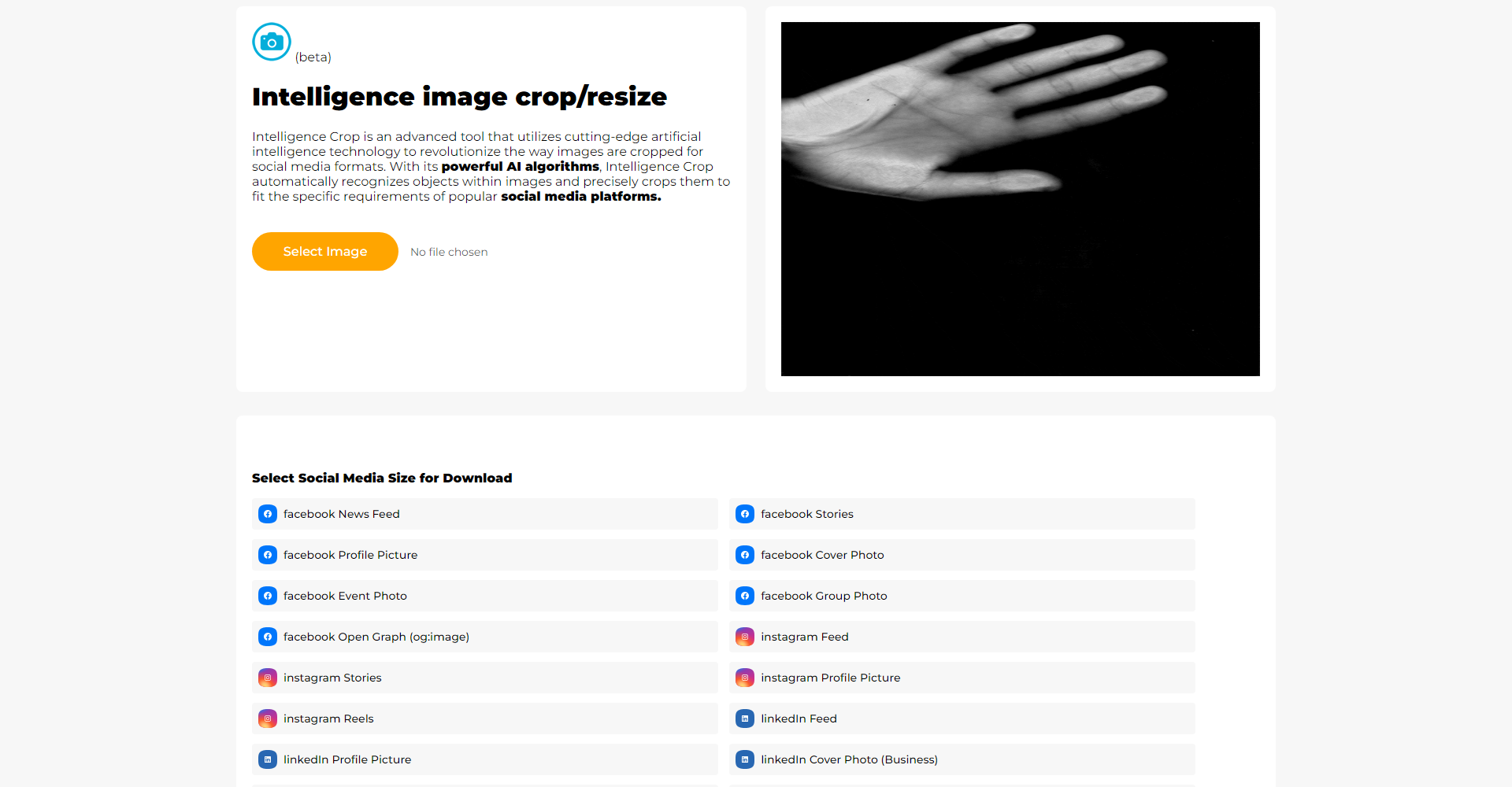 AI-Powered Image Crop & Resize for Social Media: Photostockeditor Beta - Proaitools