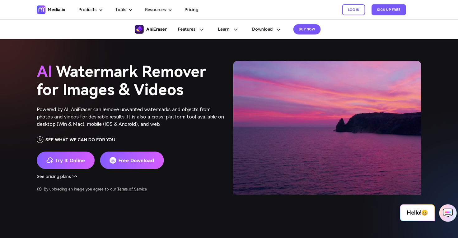 AniEraser - Proaitools